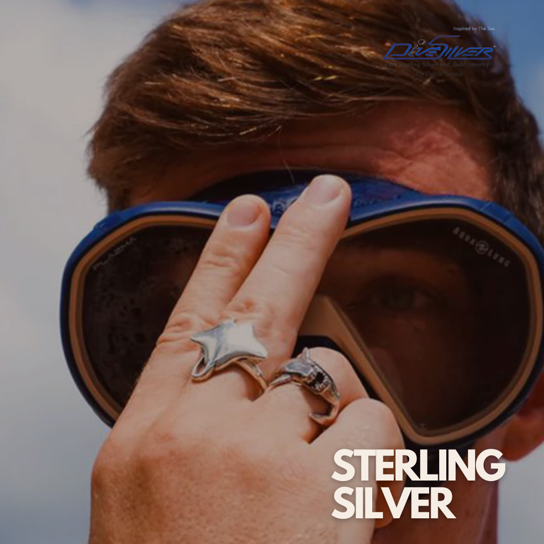 Welcome to Dive Silver